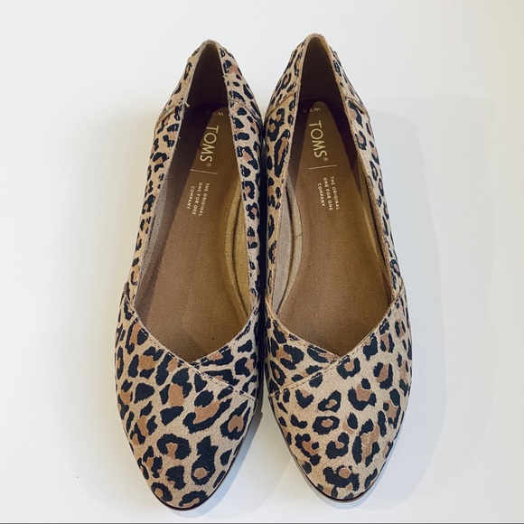 Toms | Shoes | New Toms Leopard Flats | Poshmark